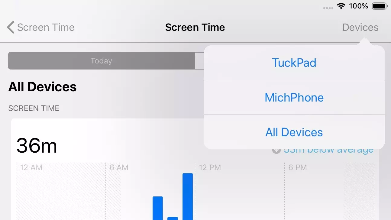 Screen Time لوحة معلومات iPad iOS