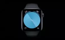 watchOS 6 WWDC 8