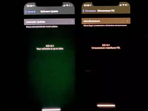 Apple coñeceu problemas de visualización que afectan a algúns modelos de iPhone 12 21199_2