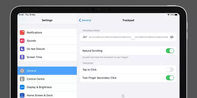 Så här anpassar du muspekaren på iPad: spårningshastighet, animationer, färg, mer 28171_4