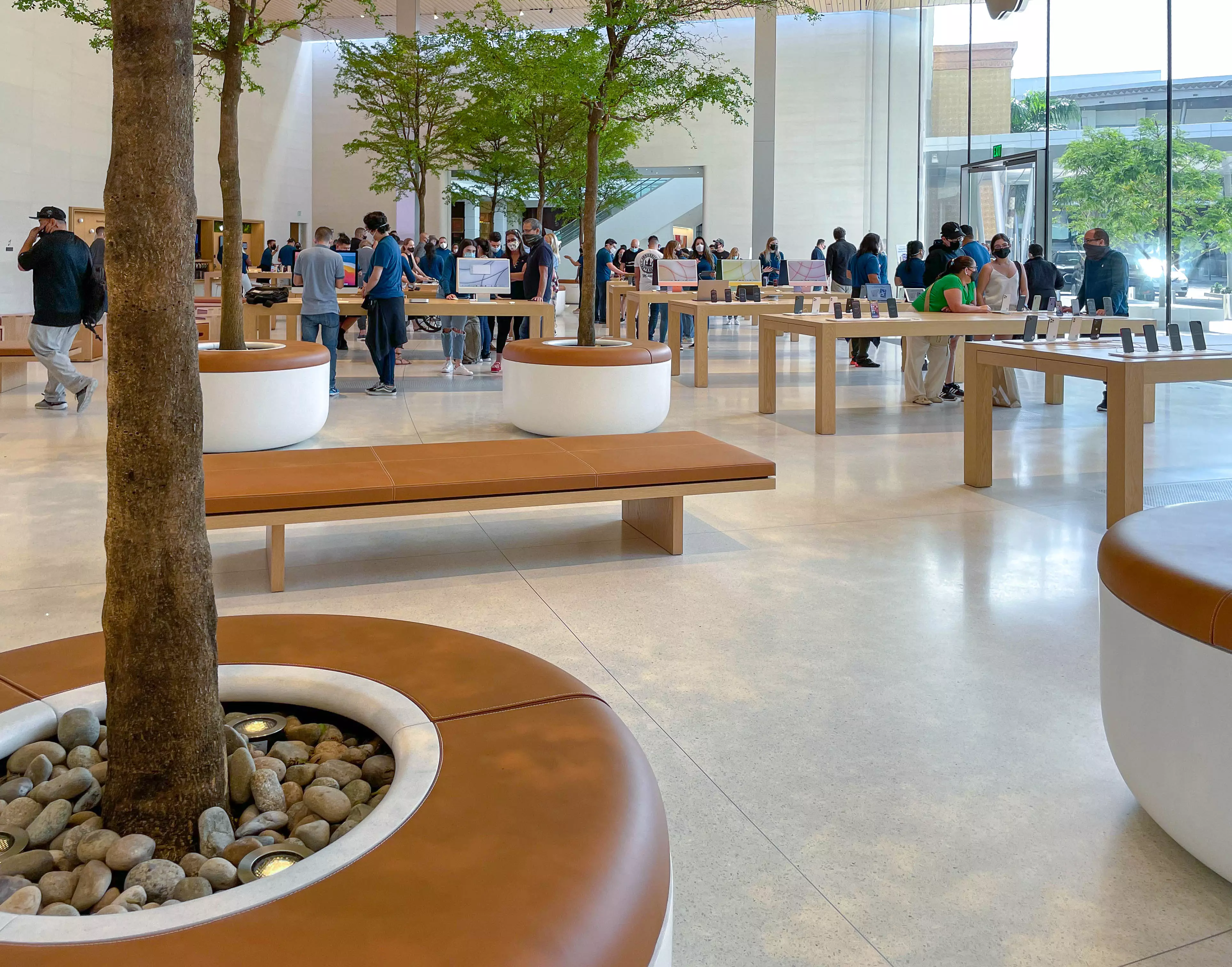 Apple Dadeland тоғайы.