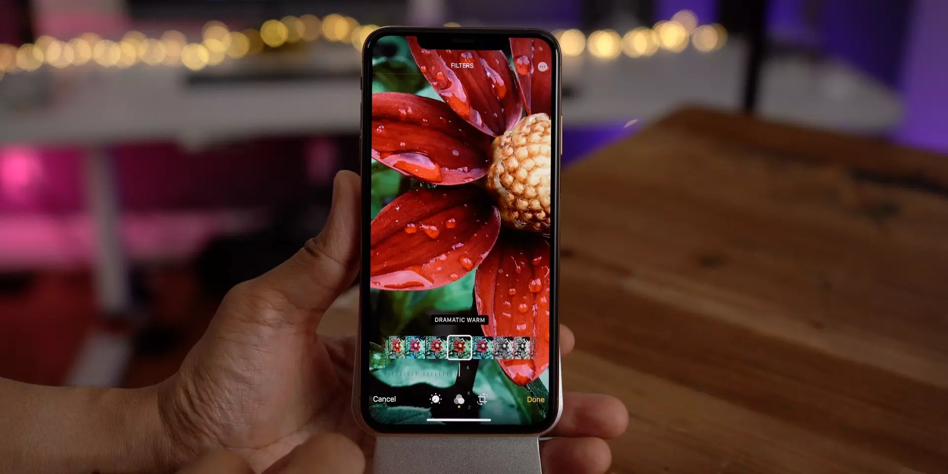 iOS 13 muda aplicativo de fotos