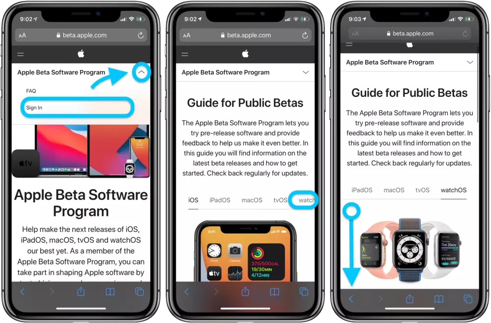 Jak nainstalovat návod k veřejné beta verzi watchOS 7 1