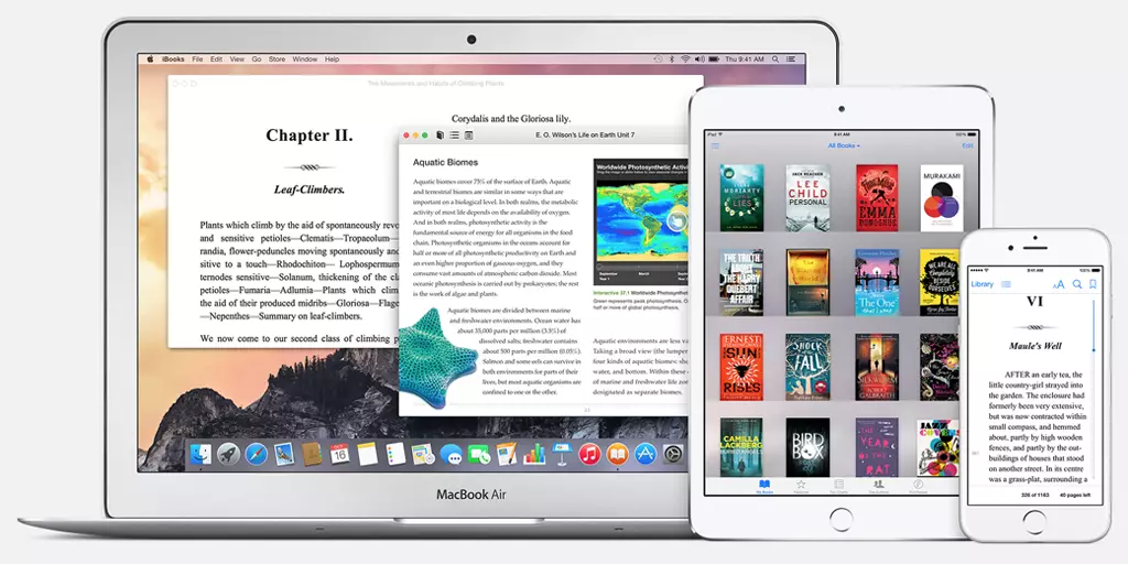 Opinión: iBooks está realmente gañando terreo en Kindle, ou as vendas de iBooks están por detrás dos usuarios? 46168_1