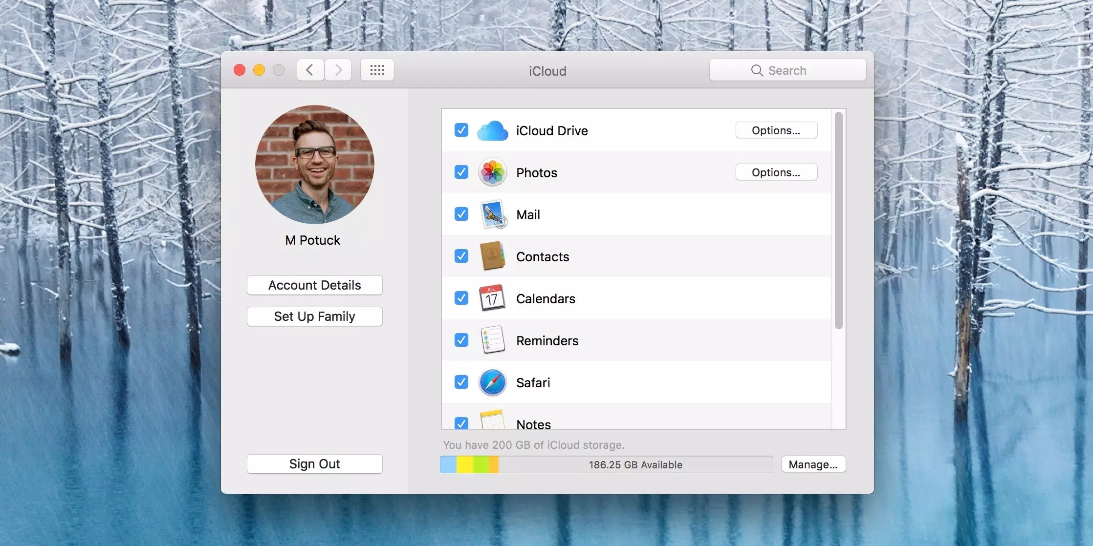 Setšoantšo se bonts'ang litlhophiso tsa iCloud likhethong tsa sistimi ea macOS