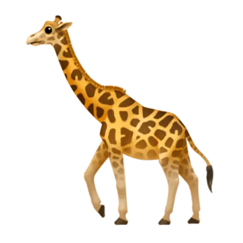 giraffe