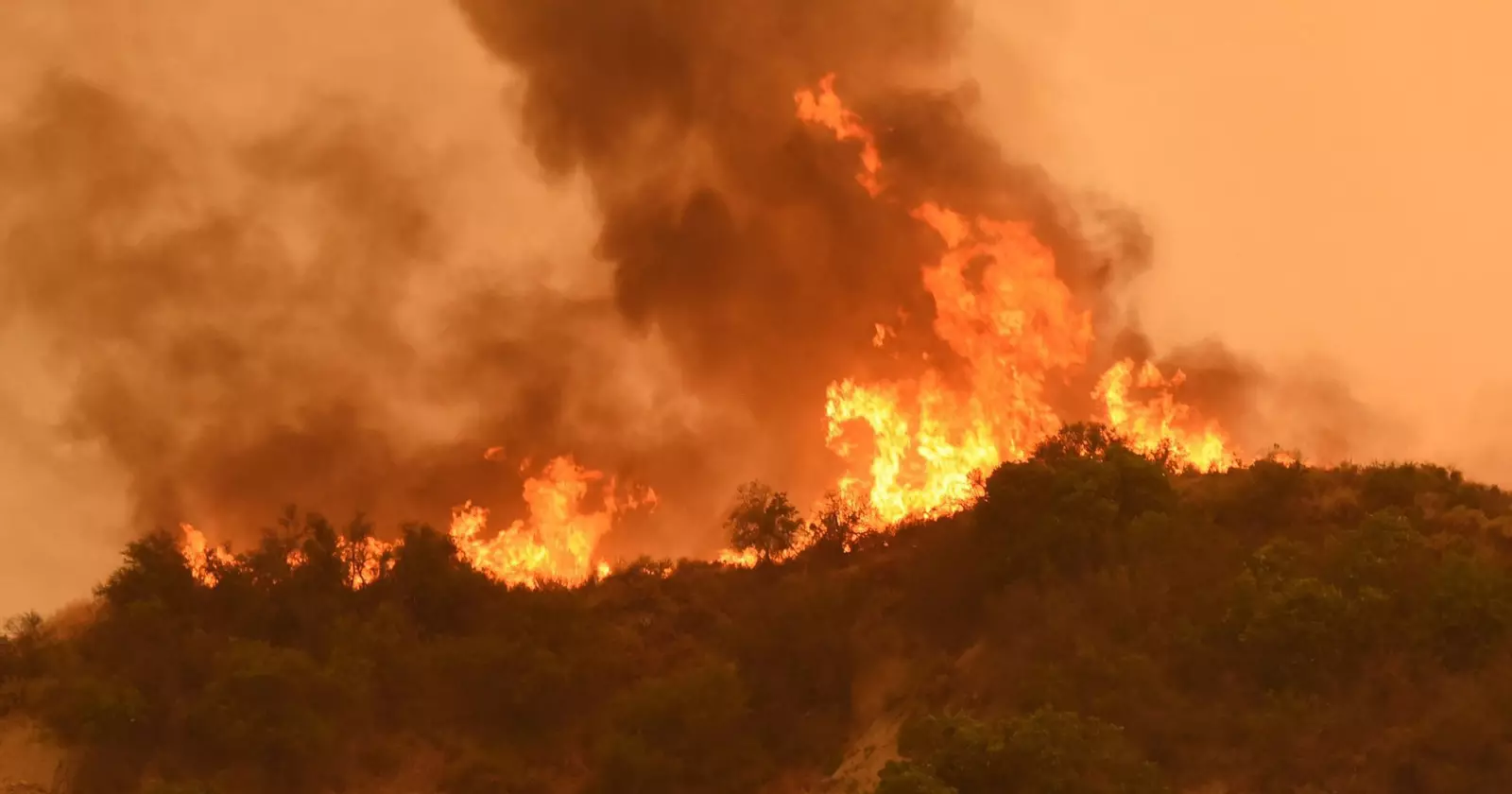 El departamento de bomberos de California dice que Verizon aceleró sus datos 'ilimitados' durante un incendio forestal 51357_1