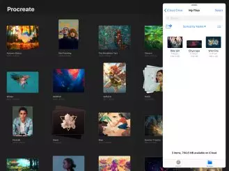 Procreate-4-Files-App