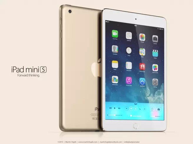 iPad-mini-goridhe-concept-05