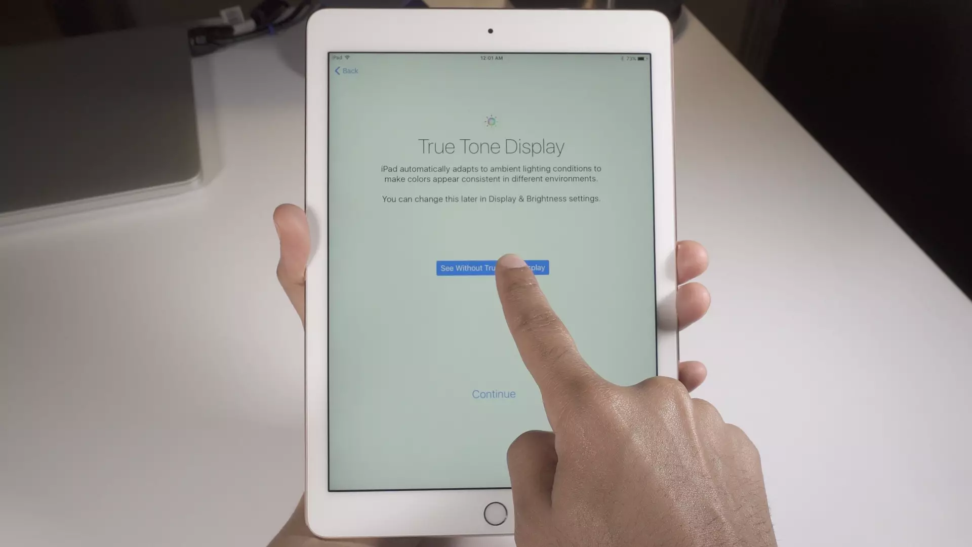 การแสดงผล True Tone iPad Pro