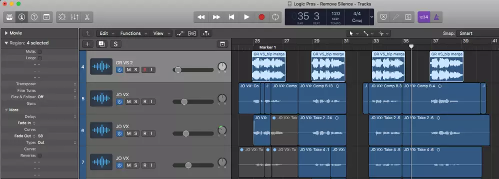 Inspektera Manjavona Logic Pro X