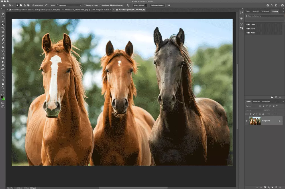 Adobe MAX 2021: E tele polokalame Creative Cloud e sau i le M1, foliga fou, sili atu 9499_2